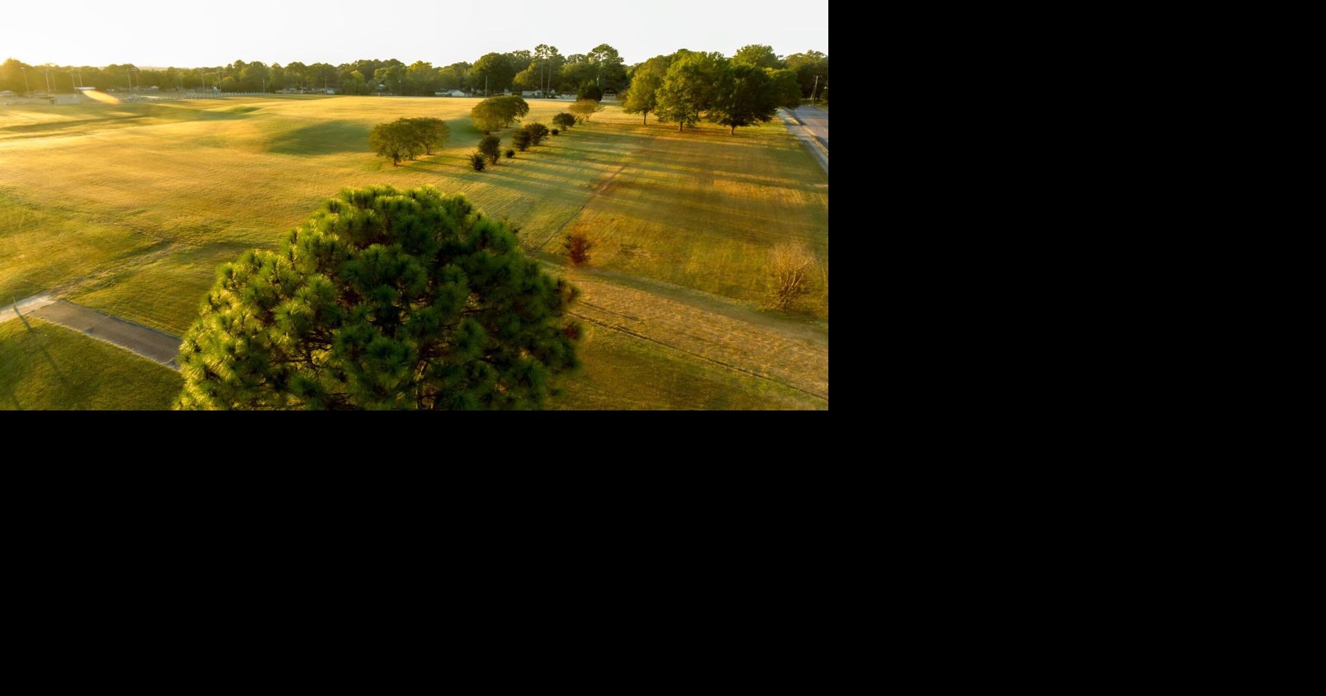 3M creates public green space on Brookhaven property | Decatur ...