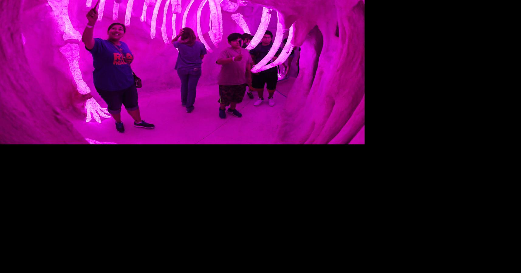 Cool things to see at exhibit | | decaturdaily.com