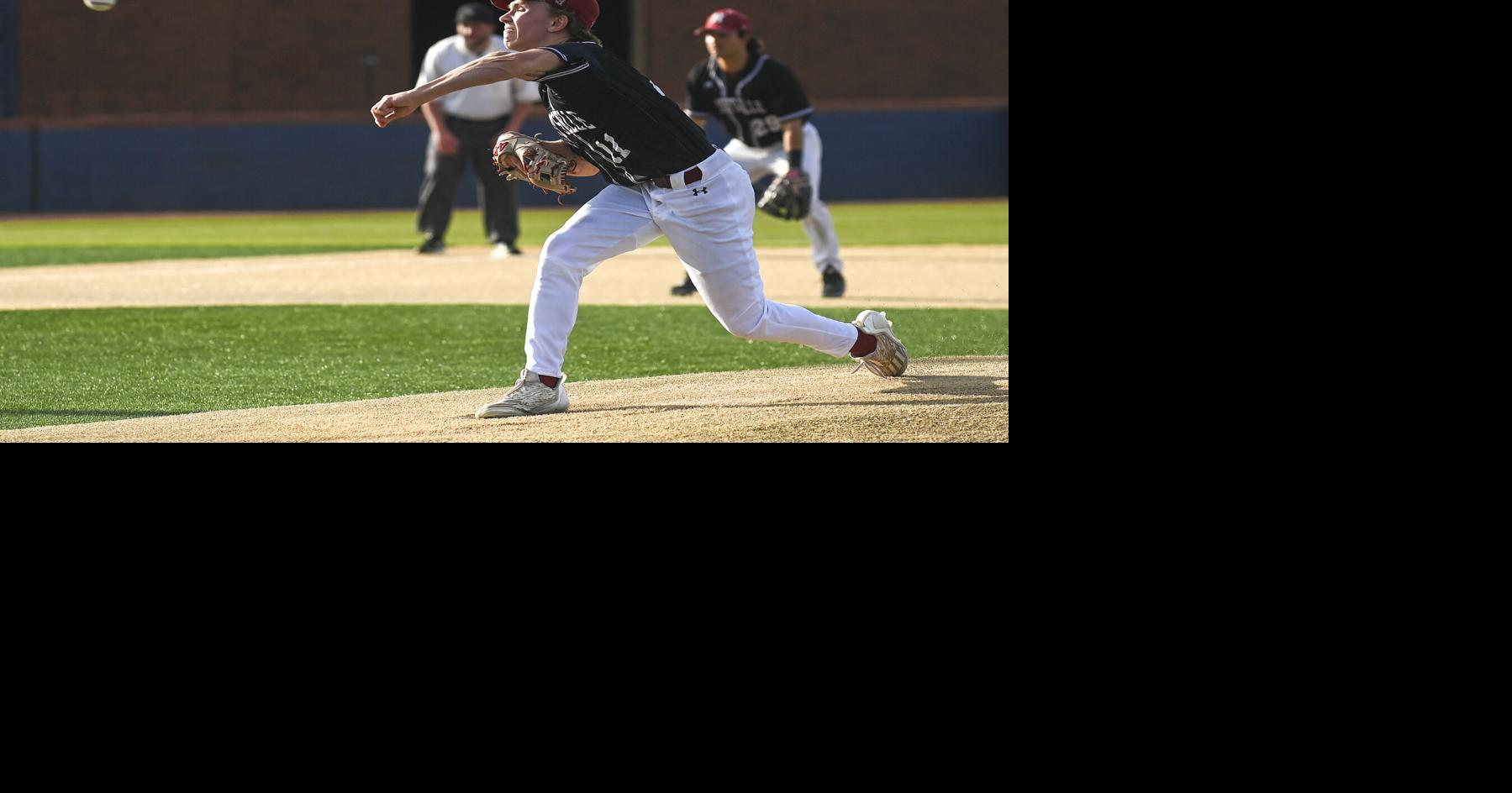 Hartselle baseball highlights 10 local teams in first poll of the ...