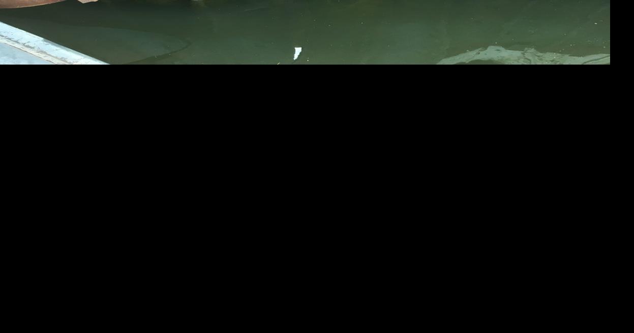 Loss of mooring cell impacting river economy | Decatur | decaturdaily.com