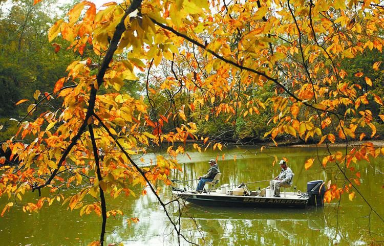 Fall into Nature: Places to soak in the changing colors in north ...