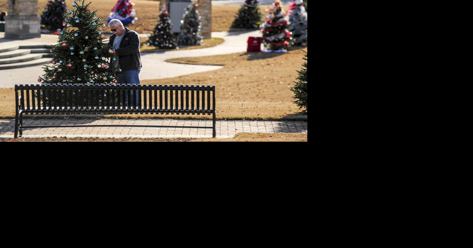 Enchanted Forest: Whimsical, traditional and avant-garde trees line ...