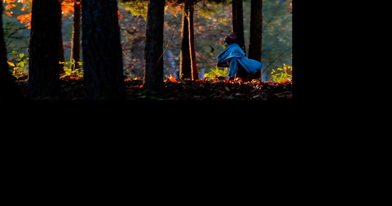 Calling all foliage fans: Chase fall colors on north Alabama trails and ...