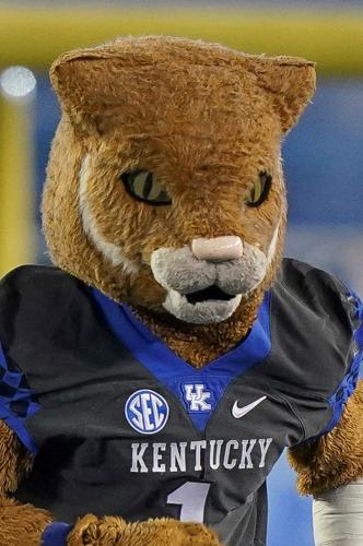 2023 GameDay preview: Kentucky Wildcats | College Headlines ...