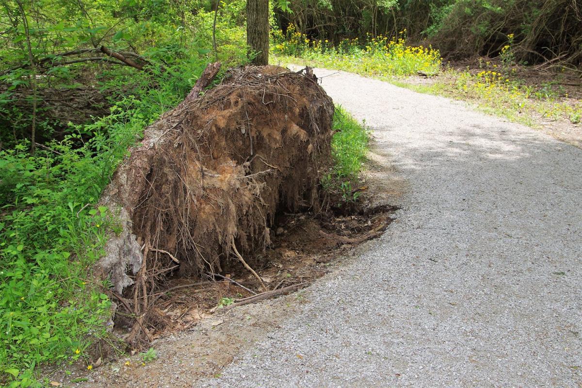 Flooded Point Mallard trail showing signs of erosion | Decatur ...