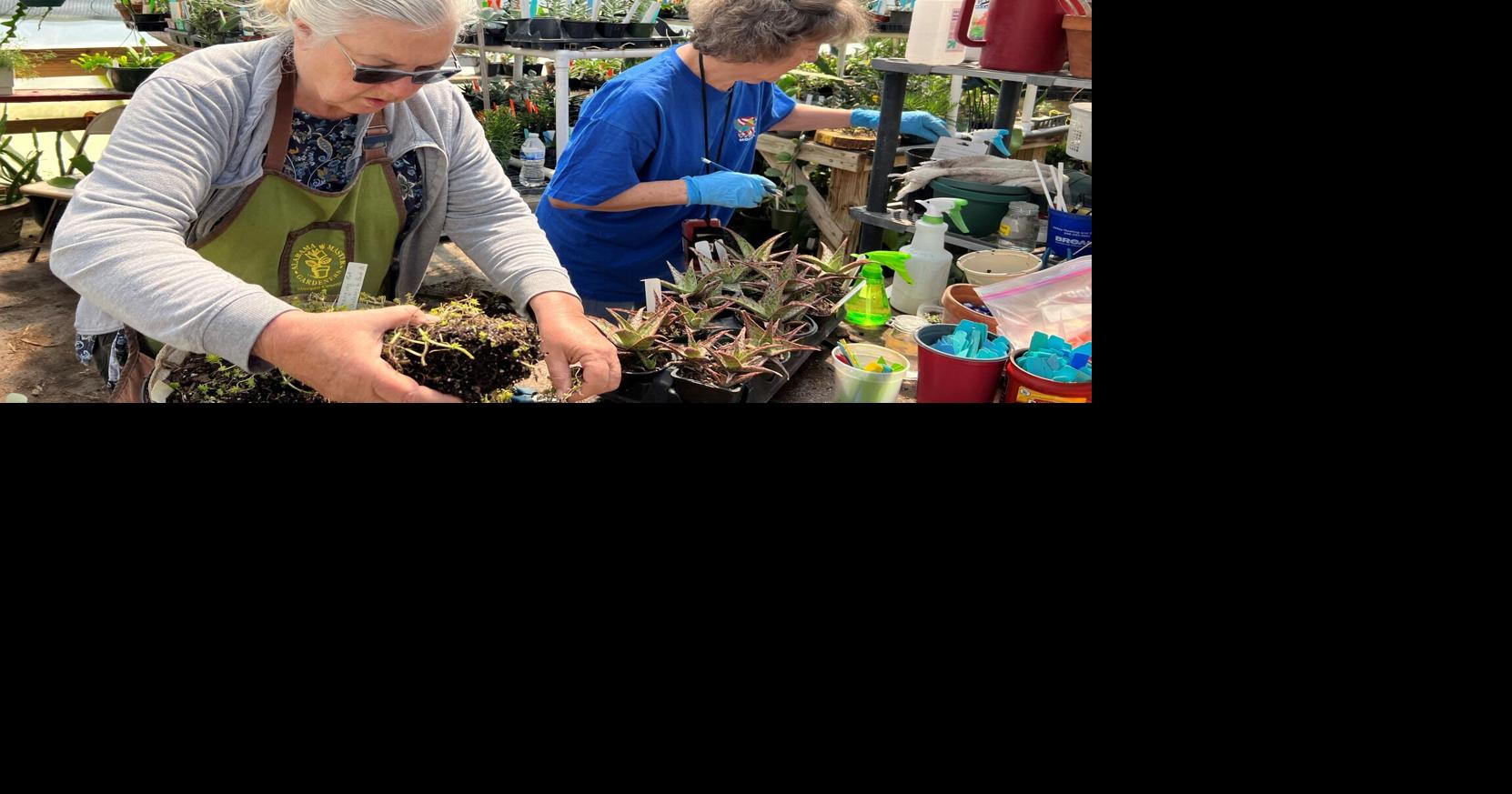 Master Gardeners plant sale returns in April | Decatur | decaturdaily.com