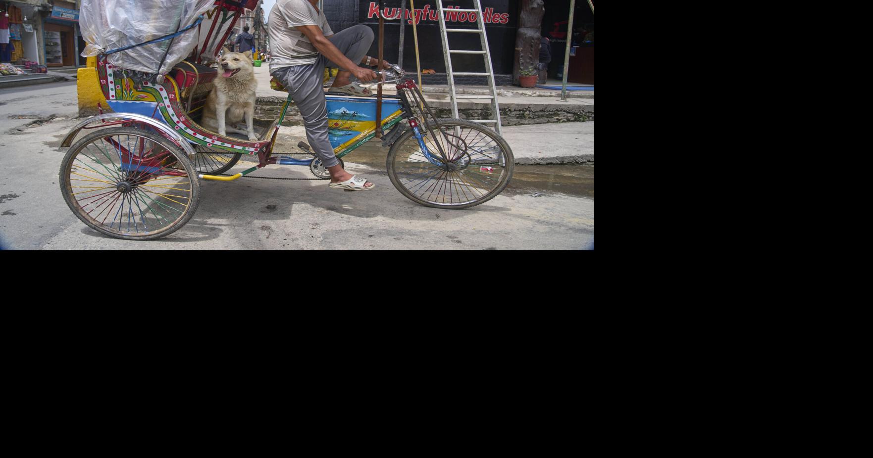 PHOTO ESSAY: A rickshaw driver and his dog are winning hearts in Nepal ...