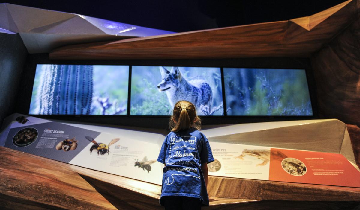 Exhibit-packed Cook Museum to open Friday | Decatur | decaturdaily.com