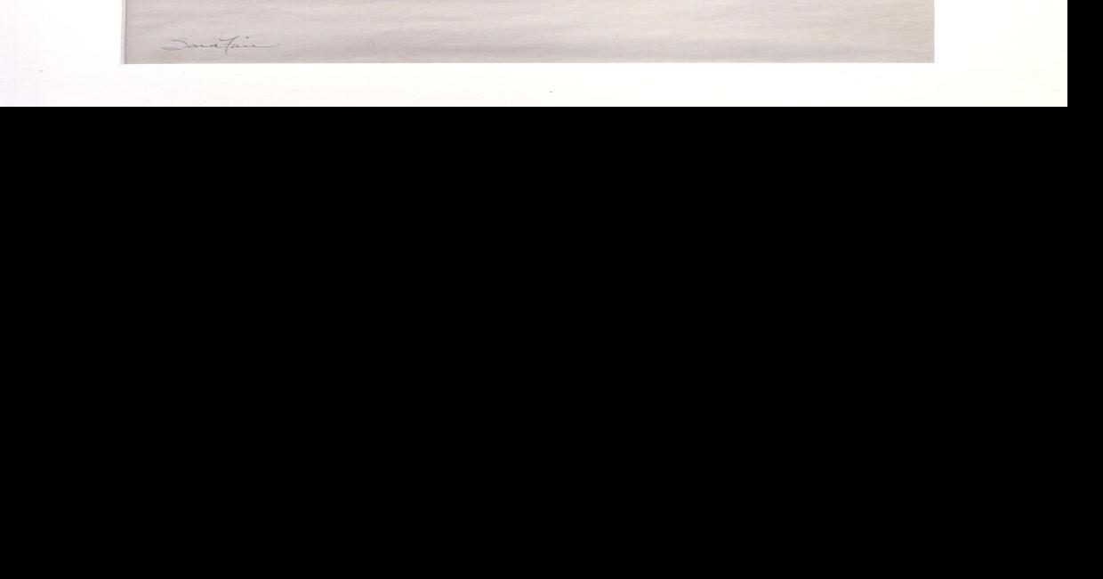 Celebrating Southern beauty: Artist's works at Carnegie showcase nature, people and architecture ...