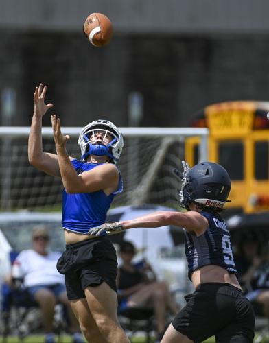 Falkville Blue Devils | High School | decaturdaily.com