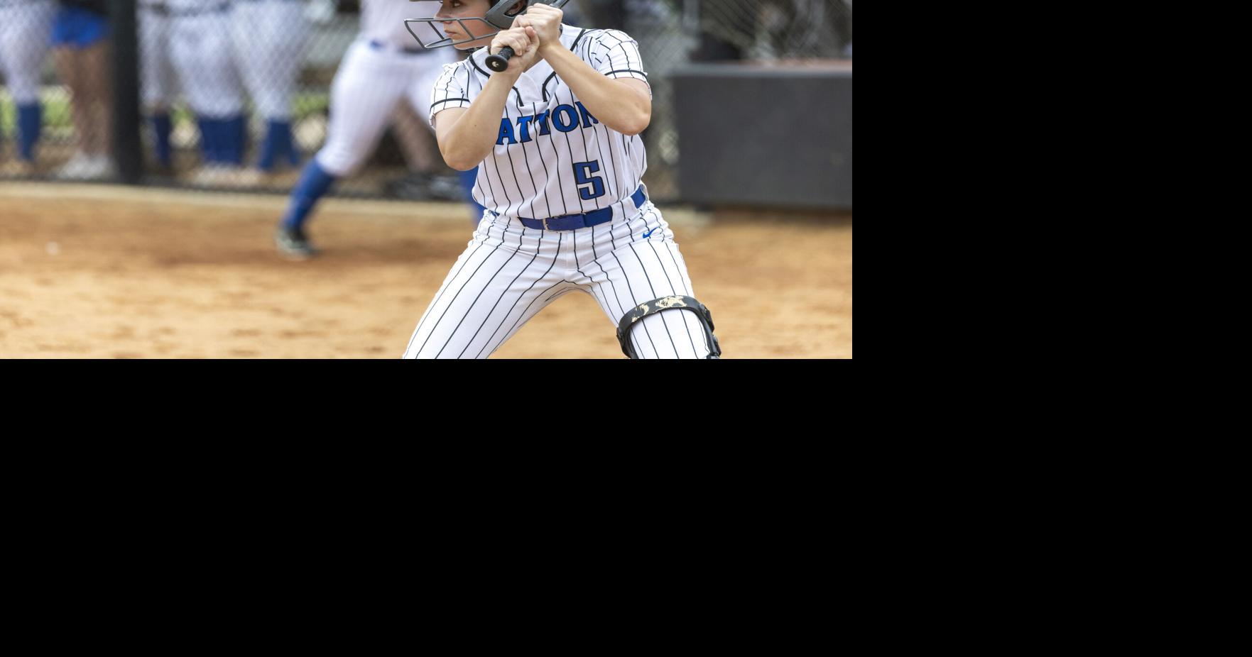 DECATUR DAILY CLASS 1A-4A ALL-AREA SOFTBALL TEAM | High School ...