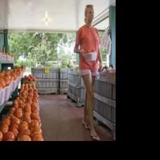 Isom Orchard offers farm freshness | Local News | decaturdaily.com