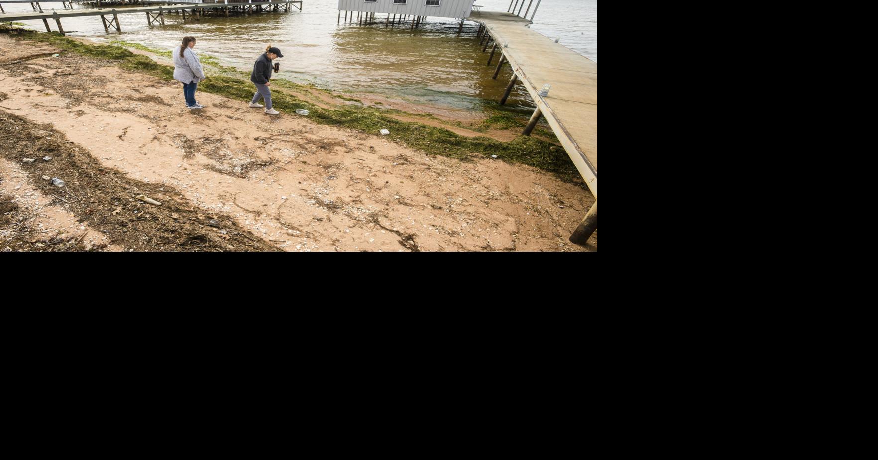 Homeowners, TVA struggling with aquatic plant life in river | Limestone ...