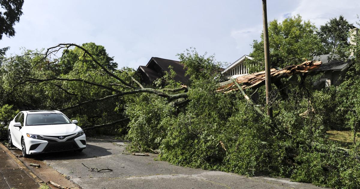 Storm Damage in Northeast Decatur | News | decaturdaily.com