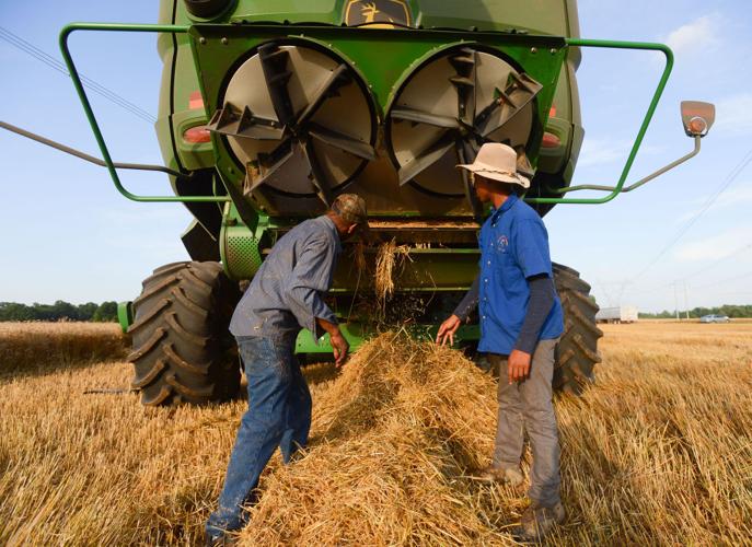 Bridgeforth Farms has fourth and fifth generation family members ...