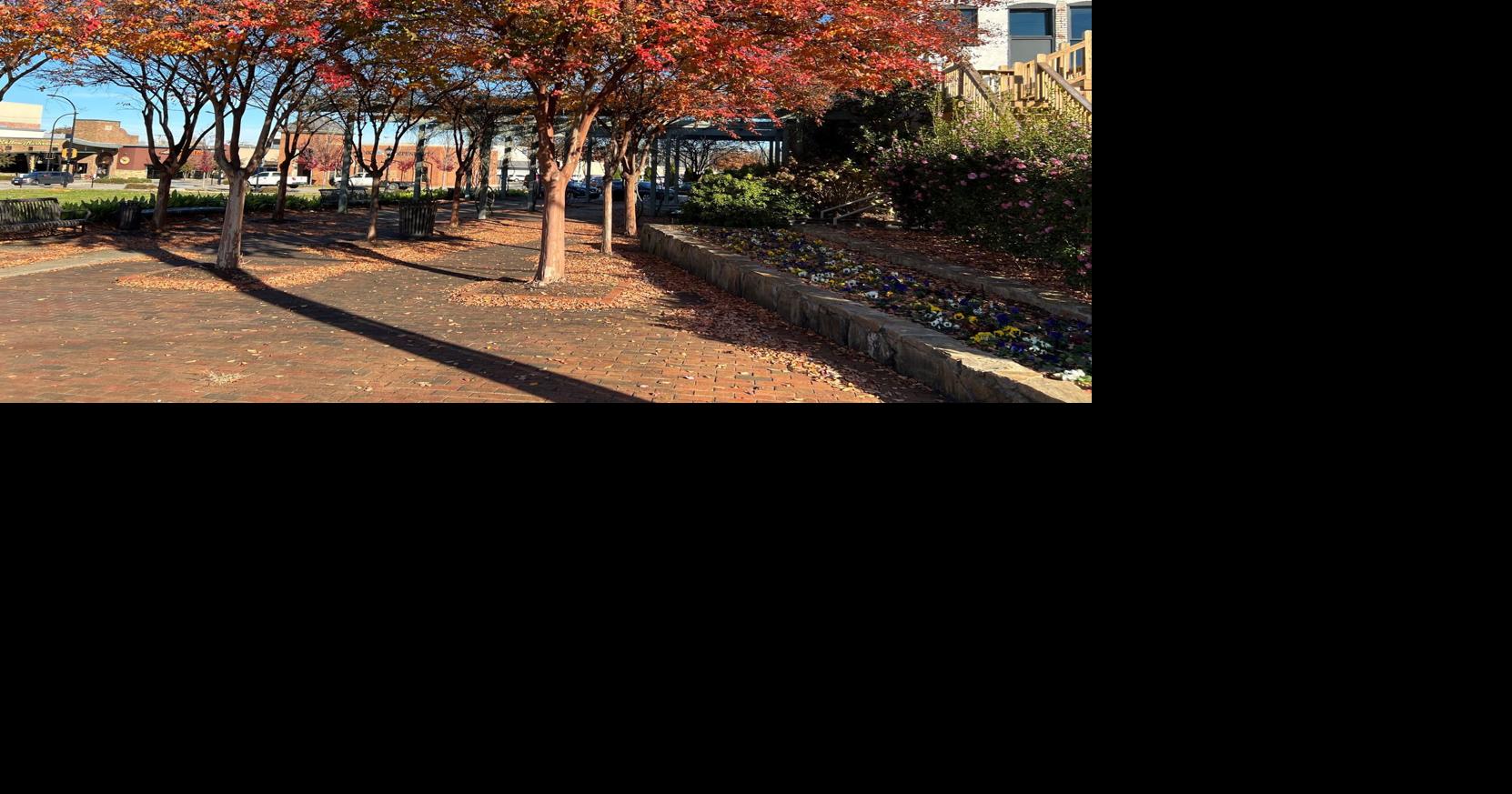 Property combination OK'd for hotel project, but council must approve ...