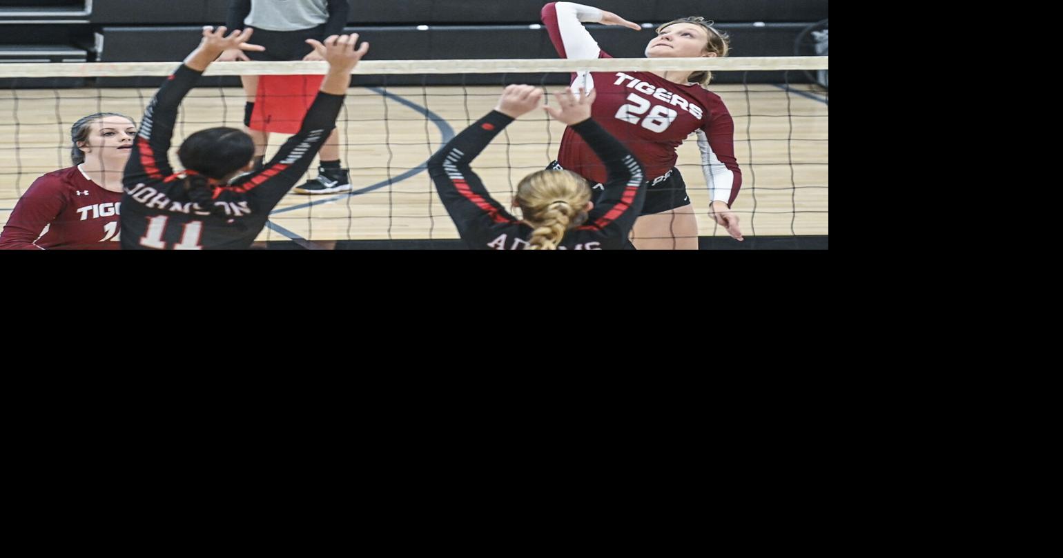 Volleyball roundup: Priceville gets win over Decatur | High School ...