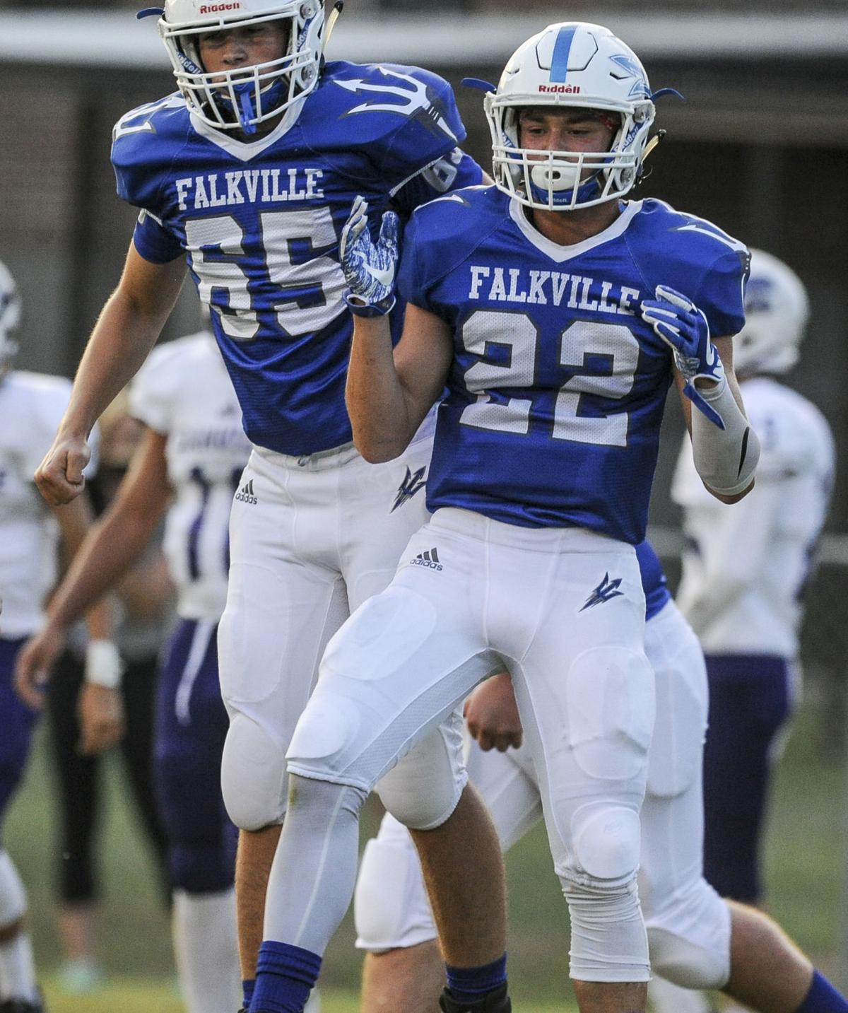 Falkville vs. Danville | Sports | decaturdaily.com