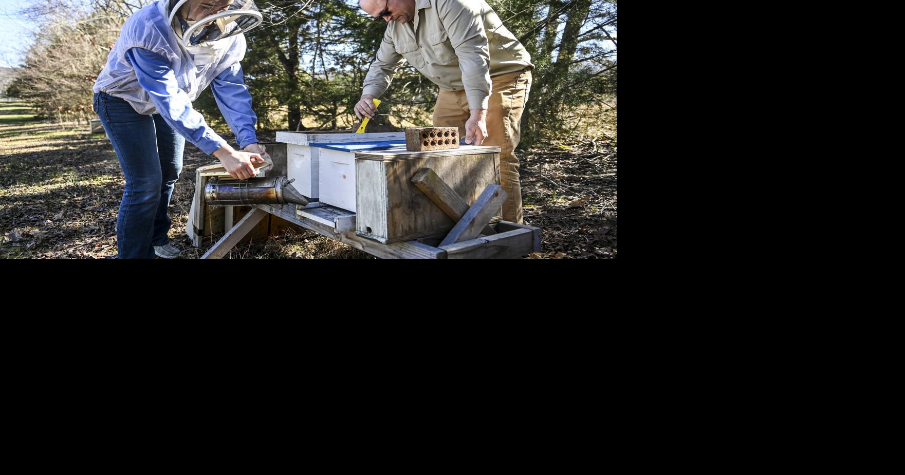 Raising queen bees becomes business for Hartselle father-daughter duo ...
