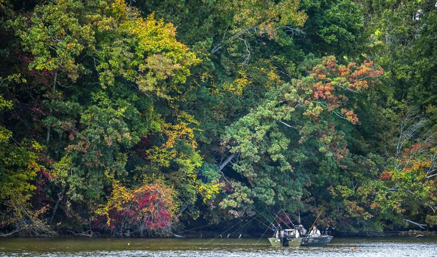 Fall in Love with Nature: Places to see the colors of the season in ...