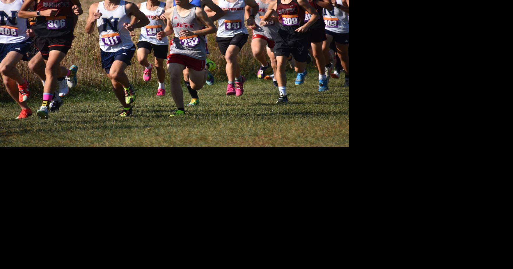 AC runners shine at Delta sectional | Sports | decaturdailydemocrat.com