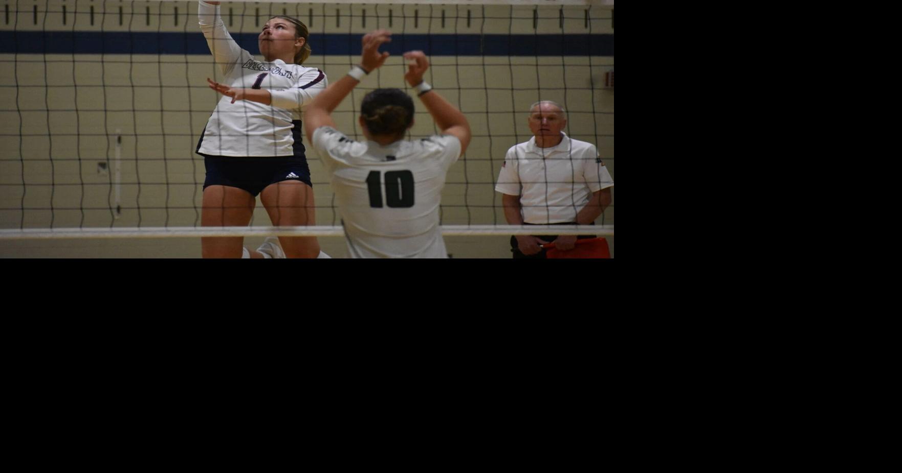 County quartet recognized by IHSVCA | Sports | decaturdailydemocrat.com
