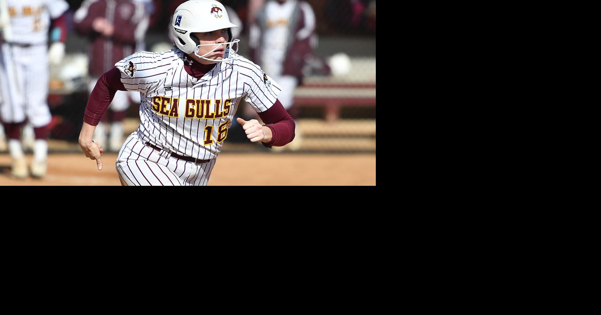 Salisbury softball's 'home run queen' Abby Mace breaks school record ...