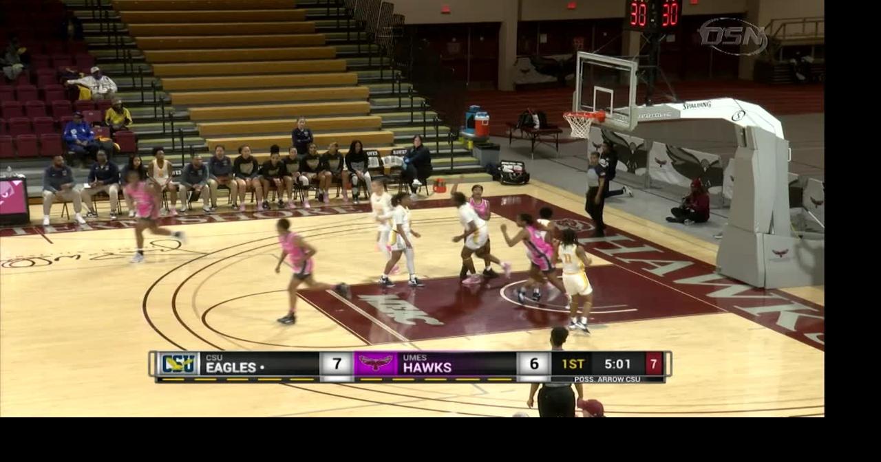 Highlights: UMES Women's Basketball dominates 2nd place Coppin State 73 ...