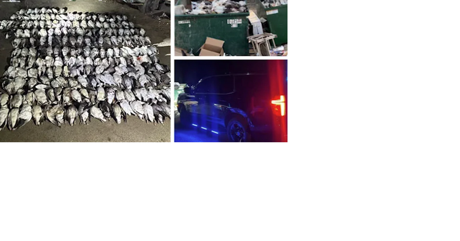 Delta In a Minute 12-29 | Local News | deltanews.tv