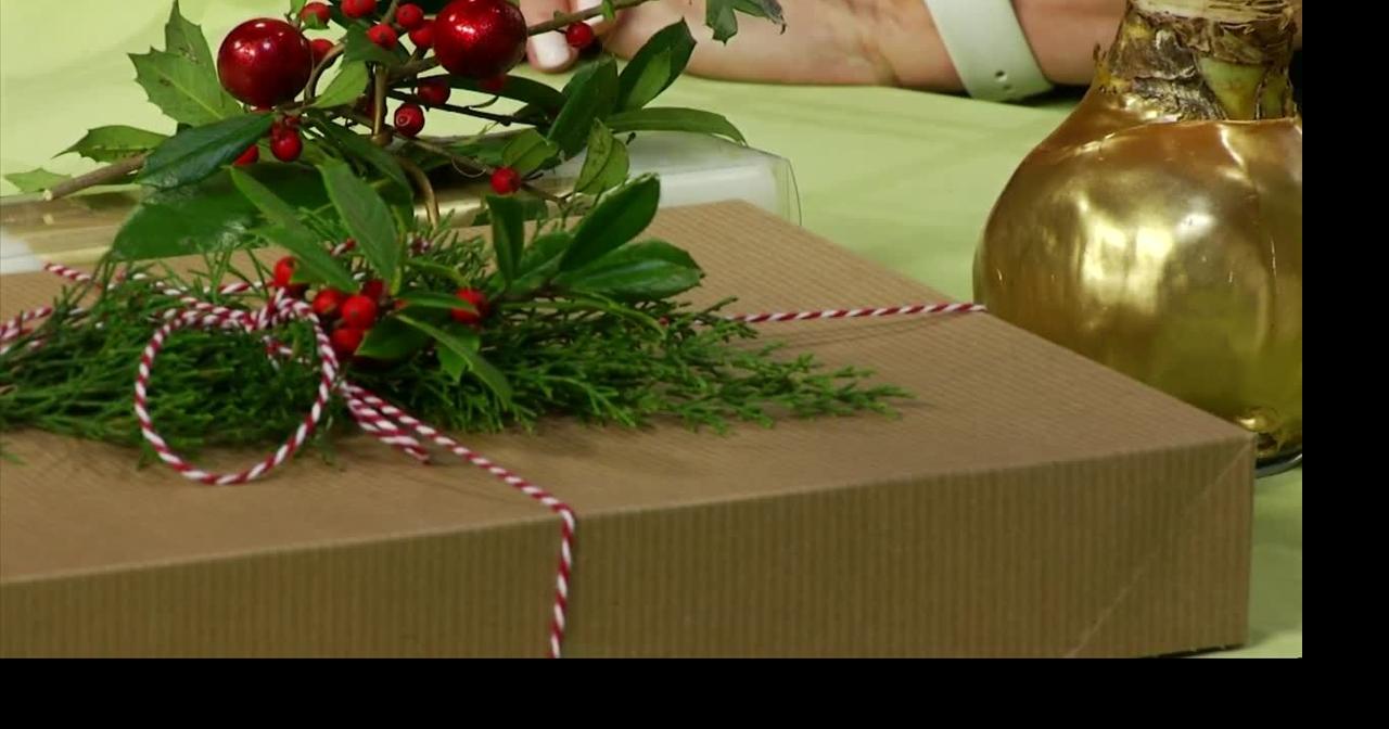 Still not a gardener? More Christmas gift ideas (Part 2) | Community ...