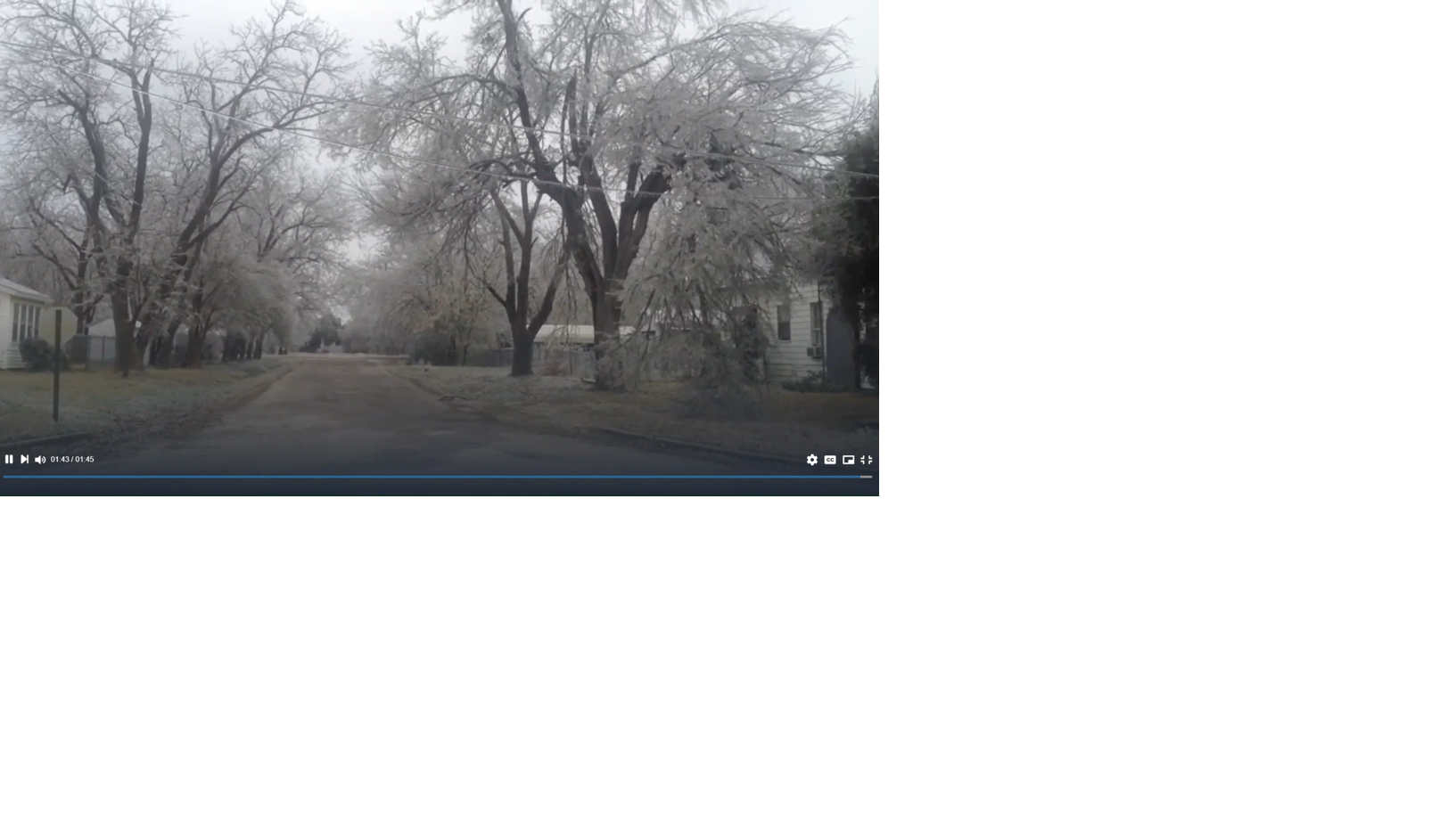 32 Years Ago: The 1994 Ice Storm | News | deltanews.tv