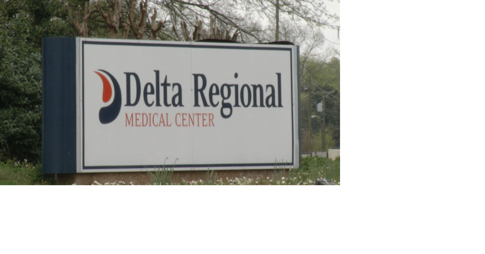 Telehealth Now Offered At Delta Regional Medical Center | News ...