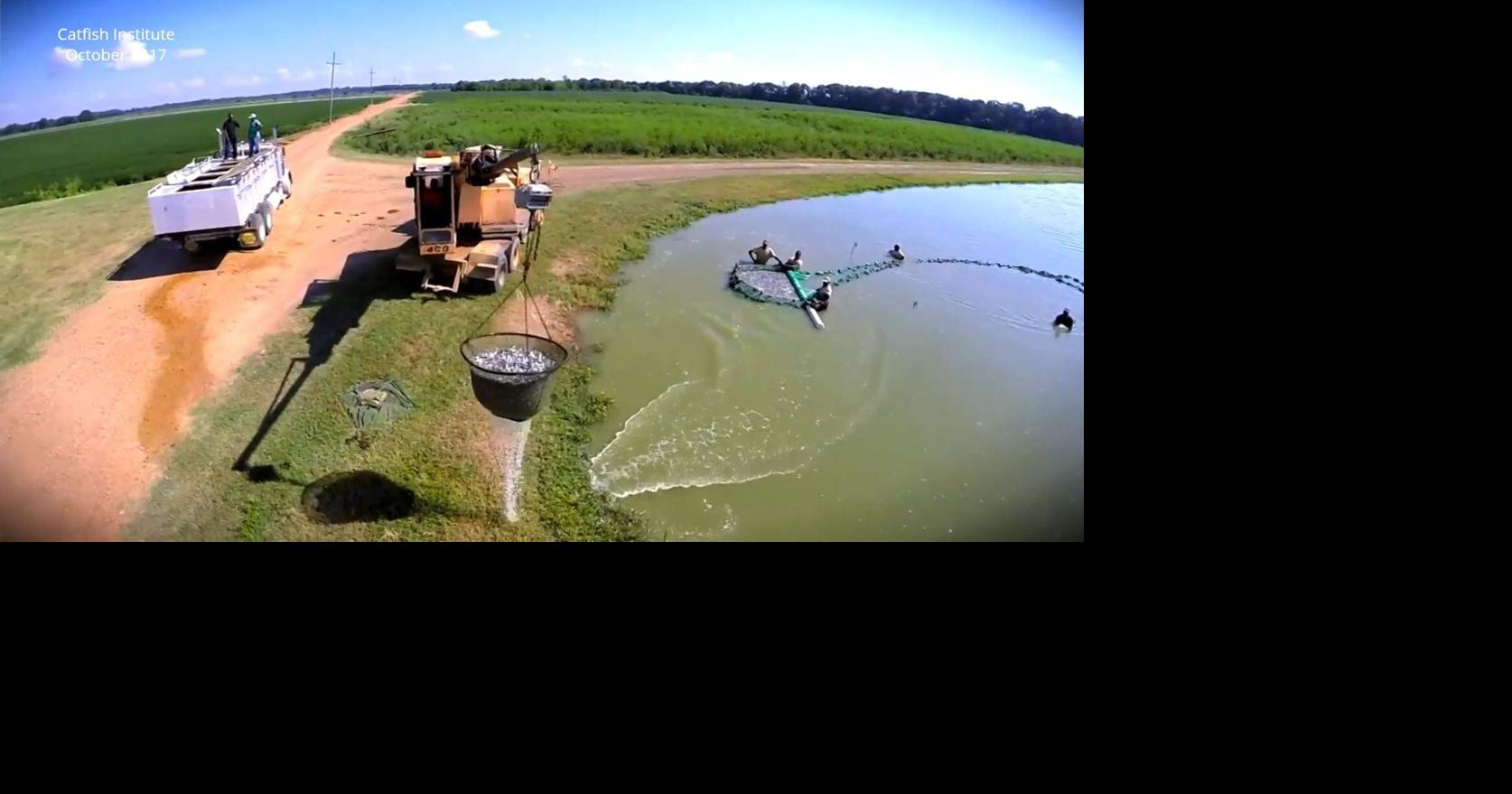 New Delta farm worker lawsuit settled | News | deltanews.tv