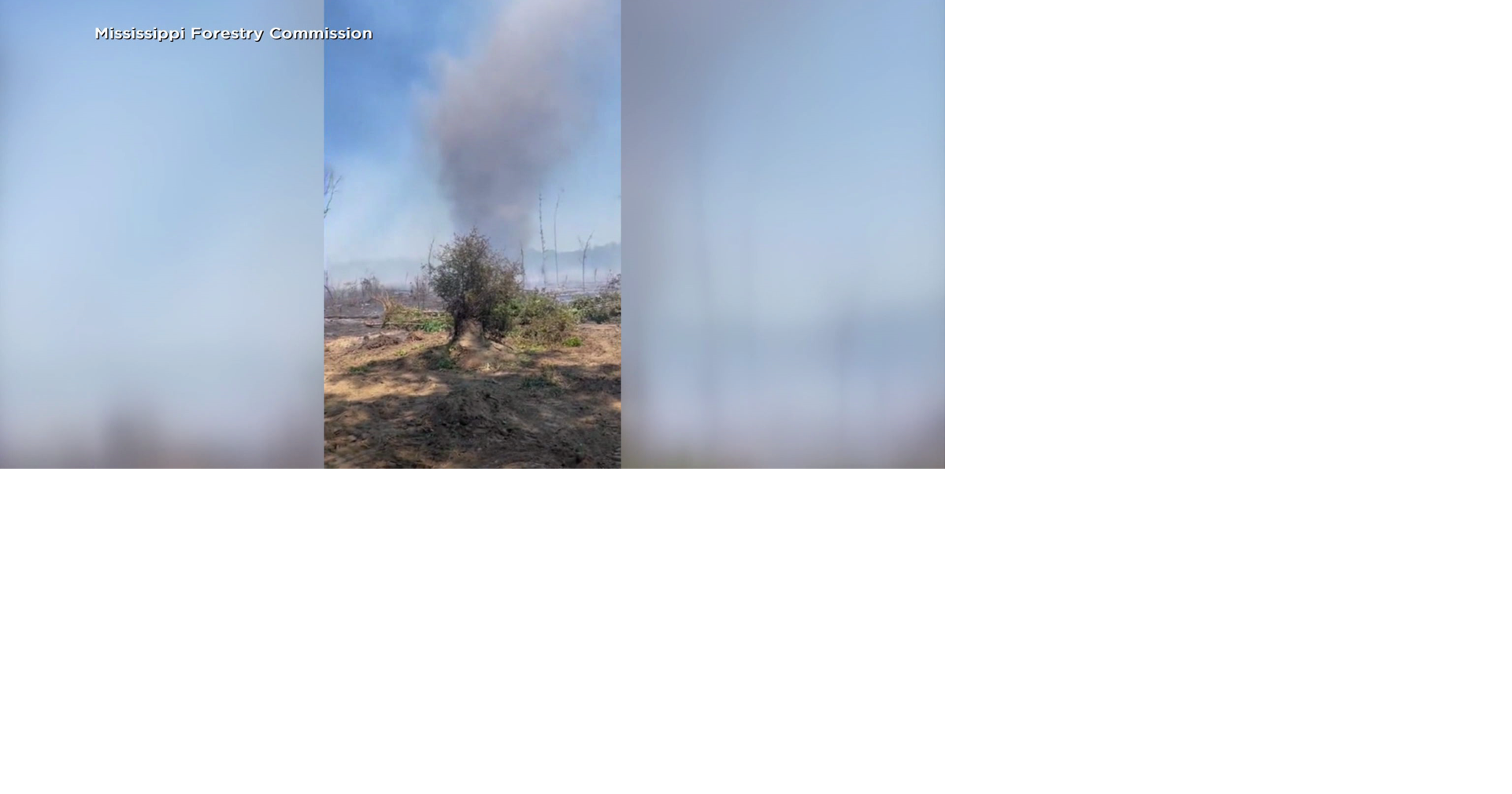 Mississippi wildfire causes "firenado" | Regional News | deltanews.tv