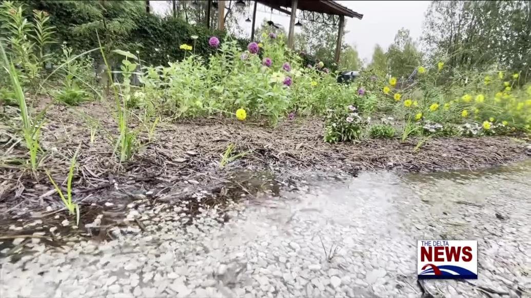 Weather | deltanews.tv