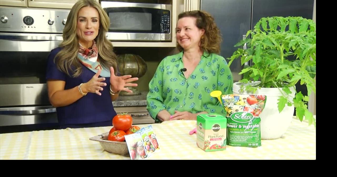 Talkin' Tomatoes | Conversations with Candi | deltanews.tv
