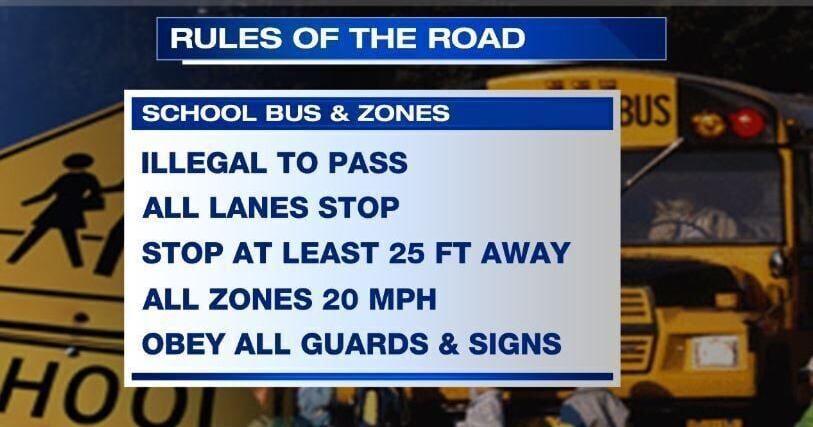 stopped school bus rules