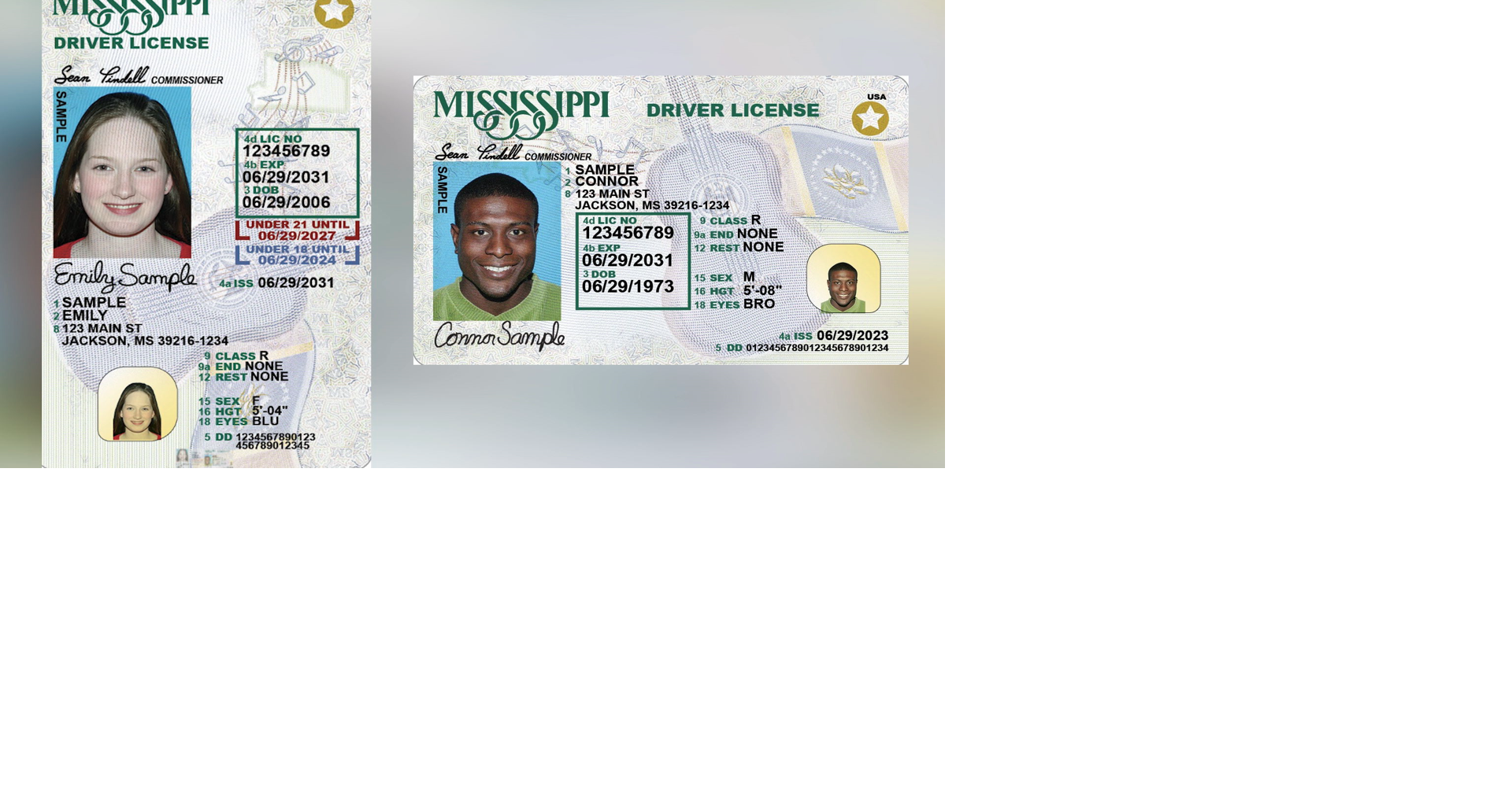 New Mississippi driver's license design | News | deltanews.tv