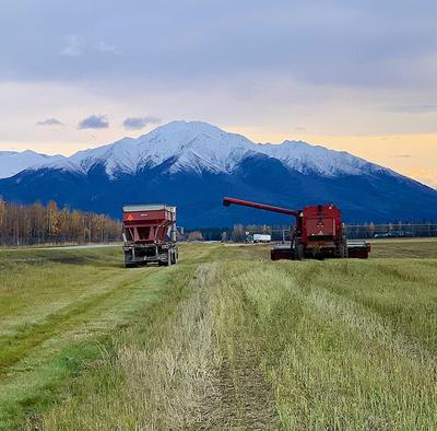 News | deltawindonline.com