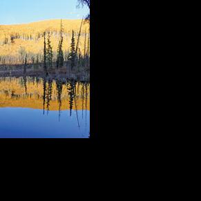 The varying colors of fall equinox | Alaska Science Forum ...