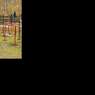 White, Haas Lead Huskies | Delta High School | deltawindonline.com