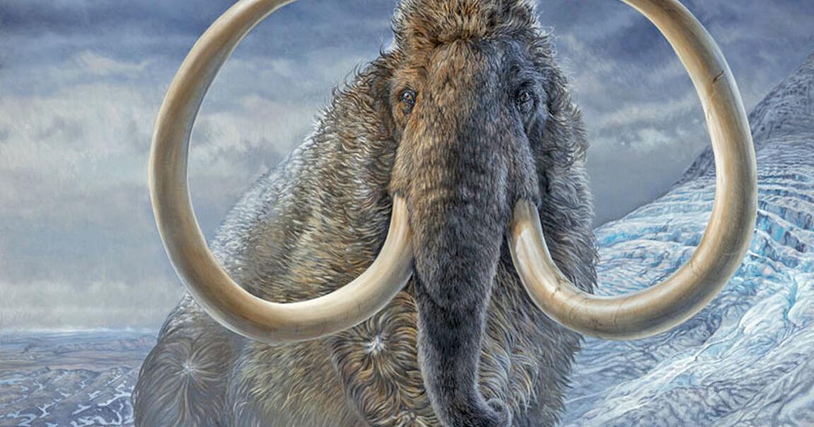 A whale of a mammoth tale | Alaska Science Forum | deltawindonline.com