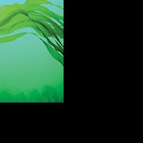 UAF-led project will look for rare-earth elements in Southeast Alaska ...