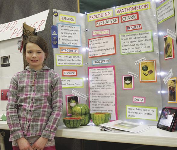 Delta Elementary School’s science fair a huge success | Delta ...