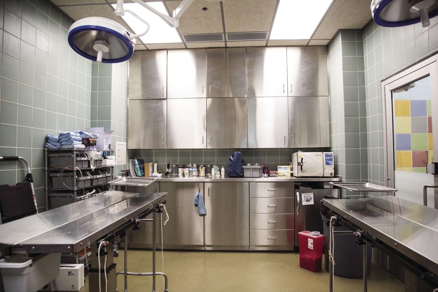 Denton Animal Support Foundation: Serving as an ally to animals and ...