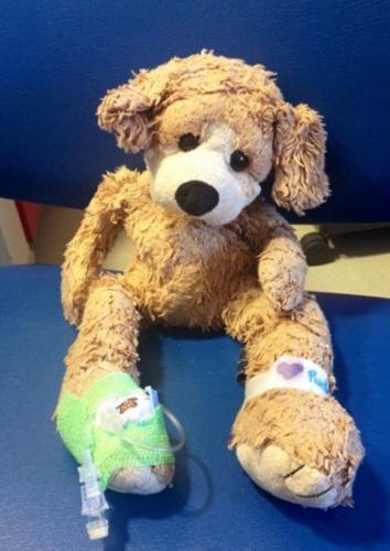 Cuddles 4 Puddles | Nonprofit Spotlight | dentoncountymagazine.com