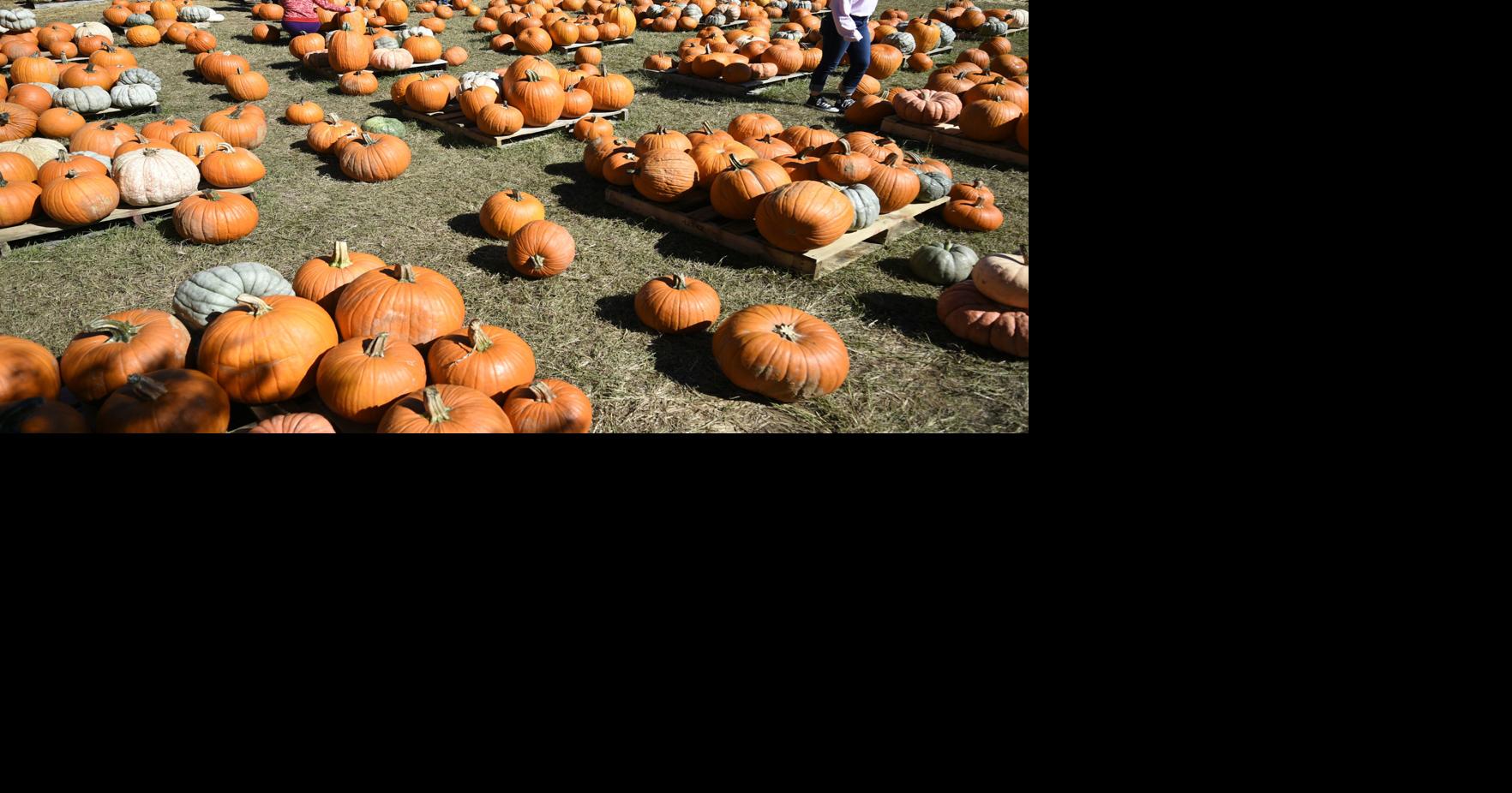 2019 Fall and Halloween Events | Denton Time | dentonrc.com