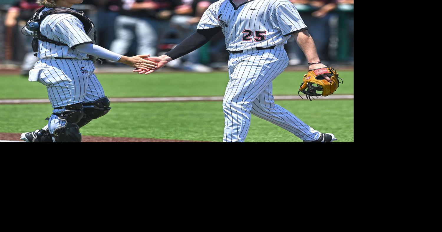 Pitching guides Argyle baseball to sweep of Aledo, clinching 10th ...