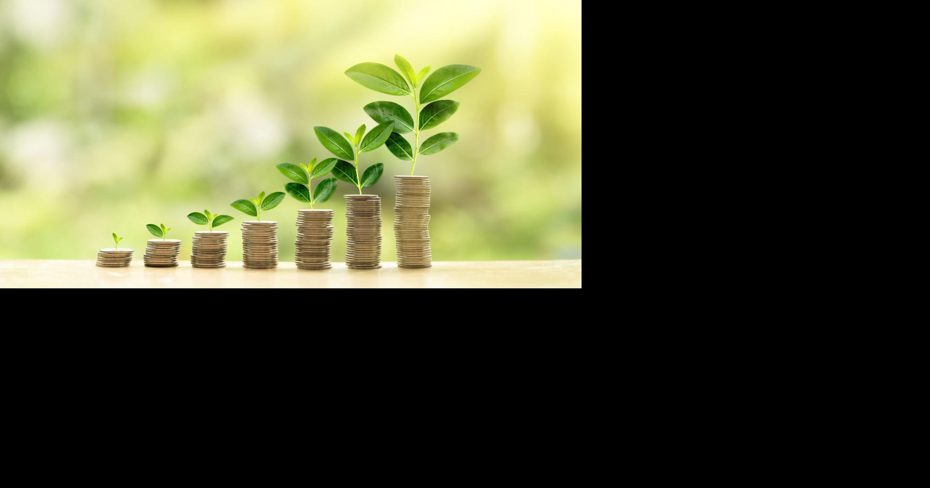 Jonathon Fite: Value investing vs. momentum investing | Business ...