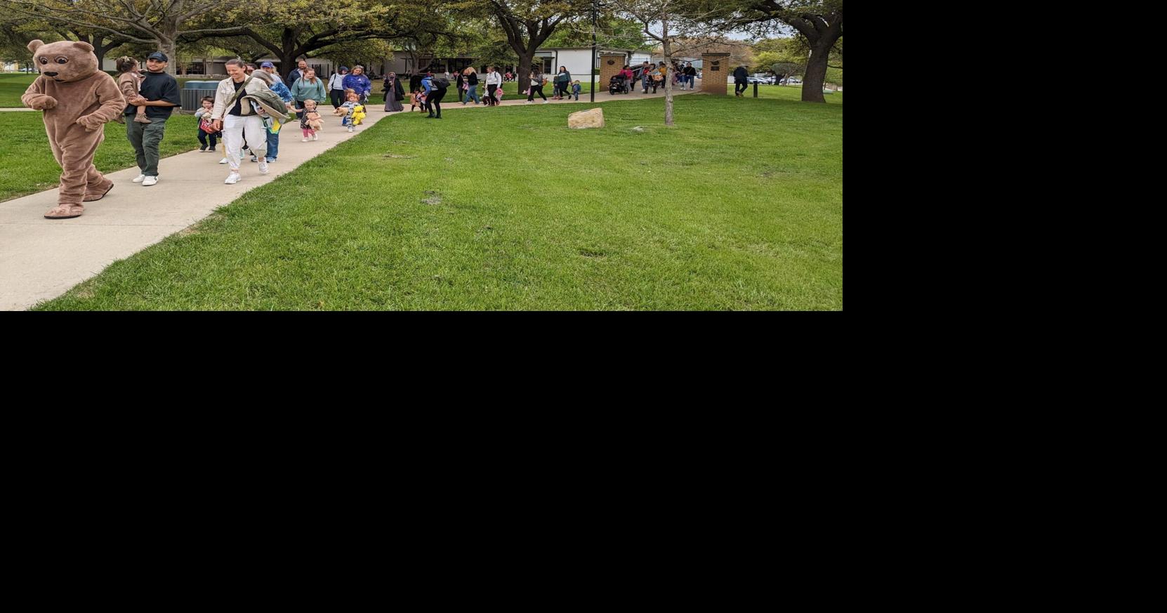 Look: Critters on parade at Denton's Emily Fowler Central Library ...